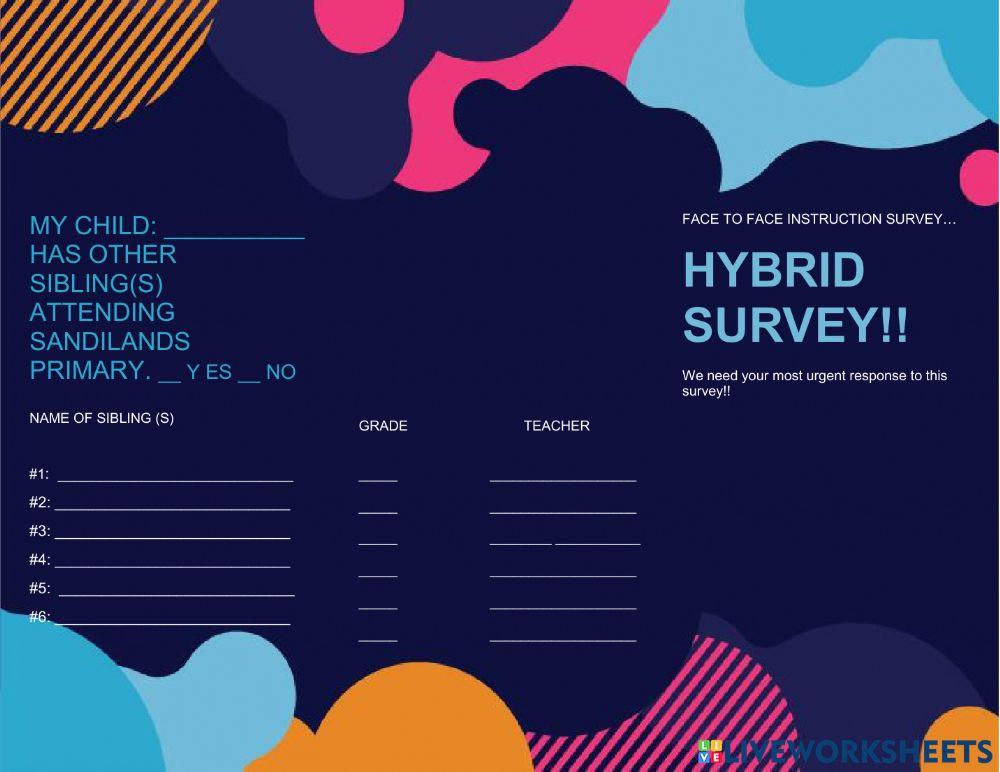 STUDENT - SIBLING (S) SURVEY worksheet | Live Worksheets