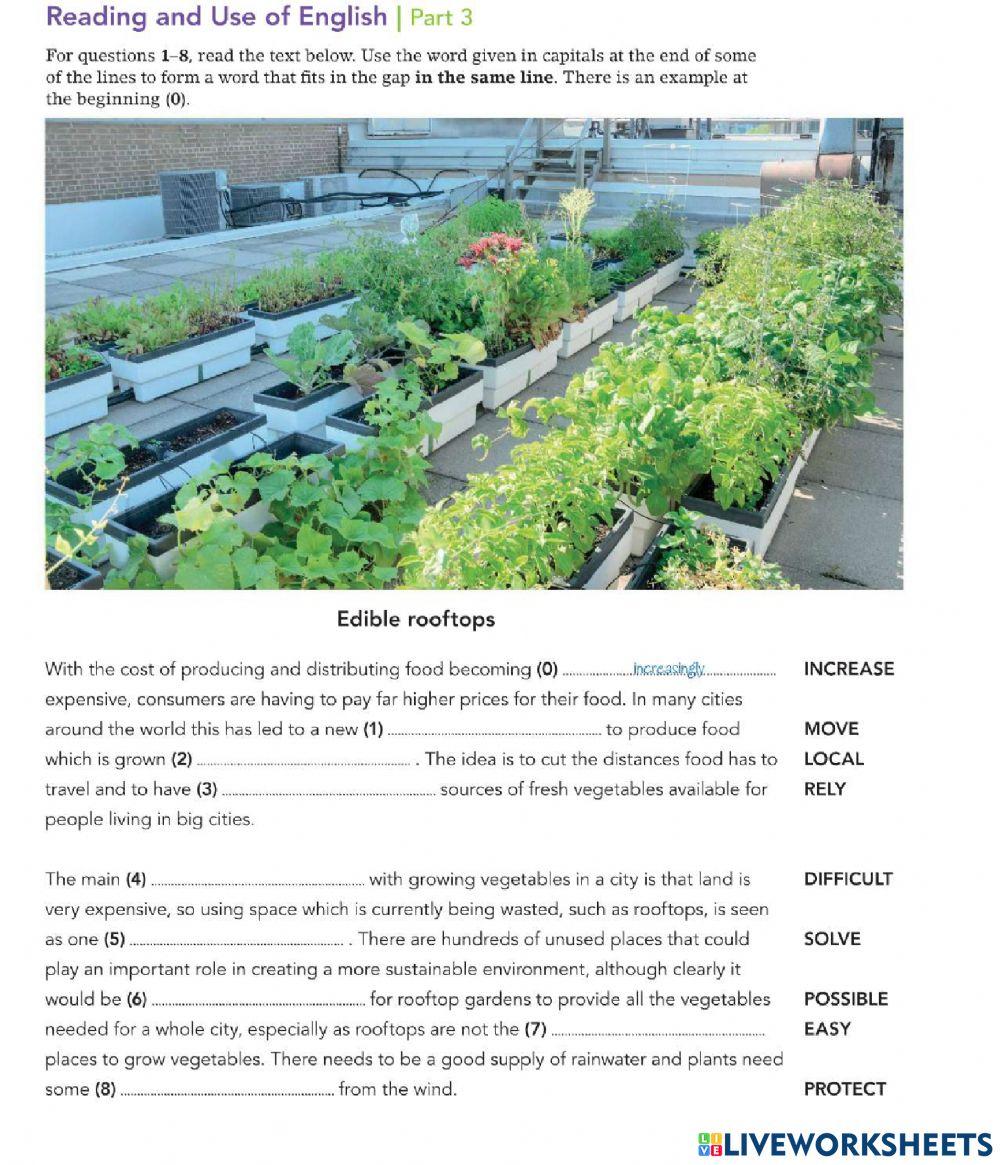 4729429 | Complete First Unit 4 Workbook | amcerico