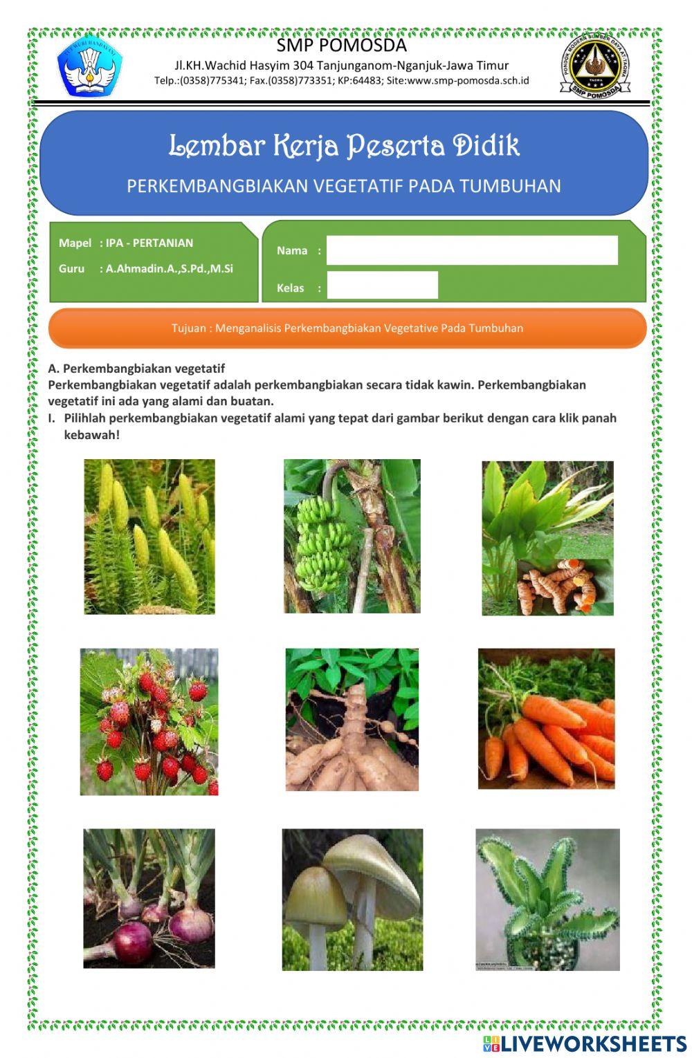 IPA-Pertanian interactive worksheet | Live Worksheets
