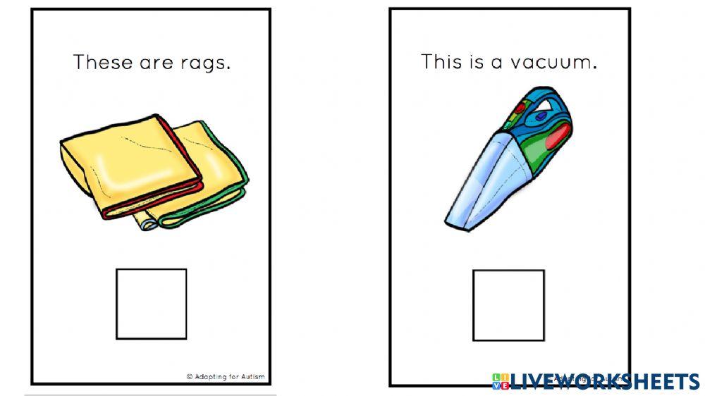 Cleaning Supplies Adapted Book 2 online exercise for | Live Worksheets