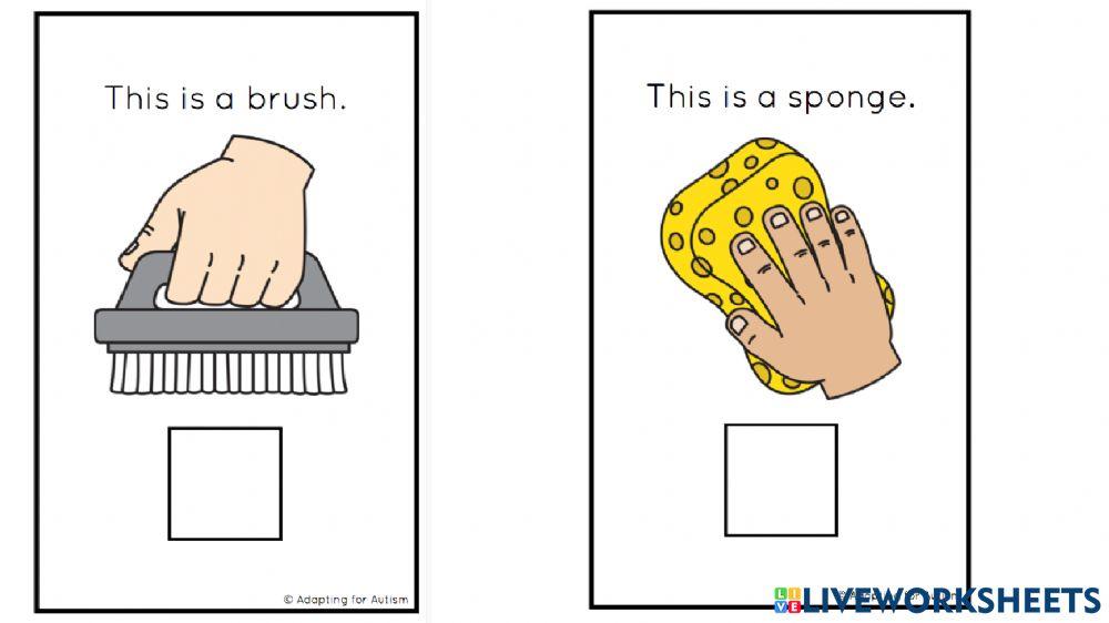 Cleaning Supplies Adapted Book 2 online exercise for | Live Worksheets