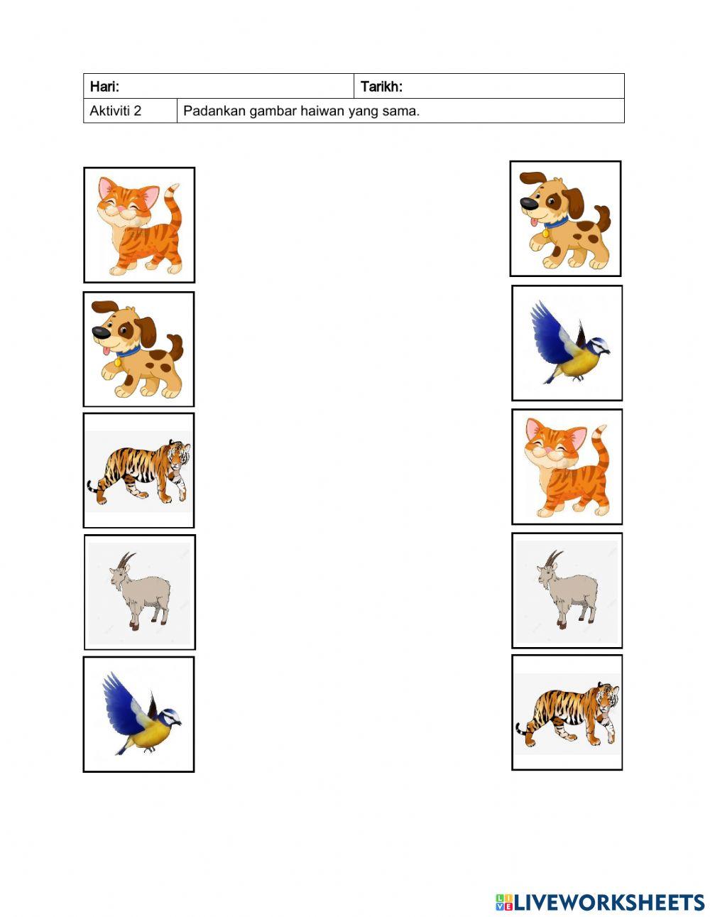 Mengenal Haiwan worksheet | Live Worksheets