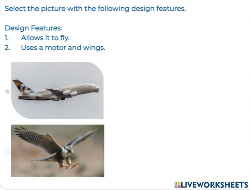 Starter Activity online activity | Live Worksheets