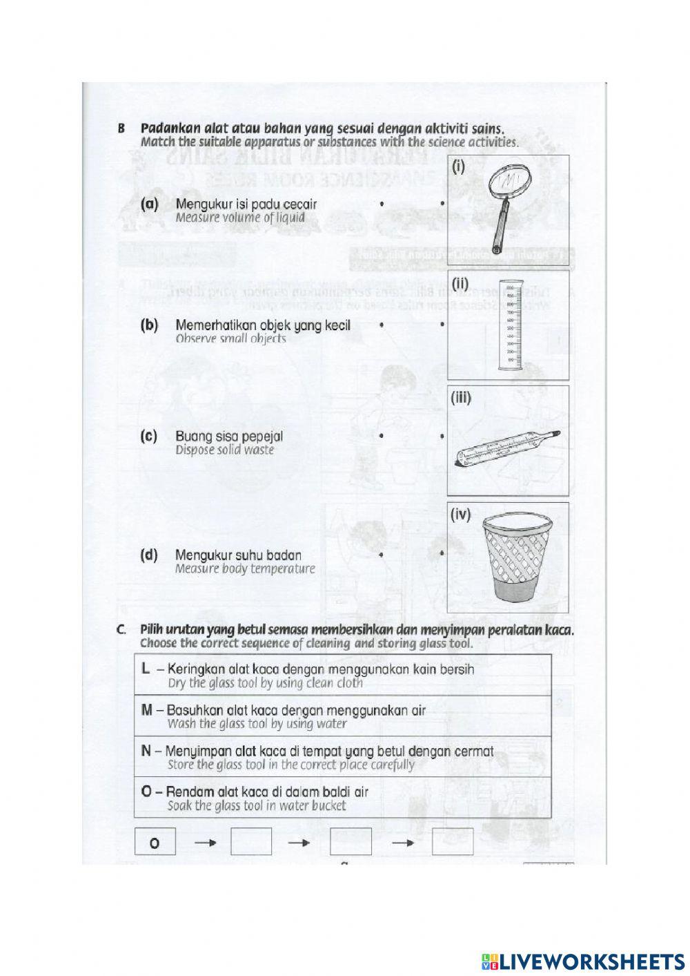 Manipulative Skills worksheet | Live Worksheets