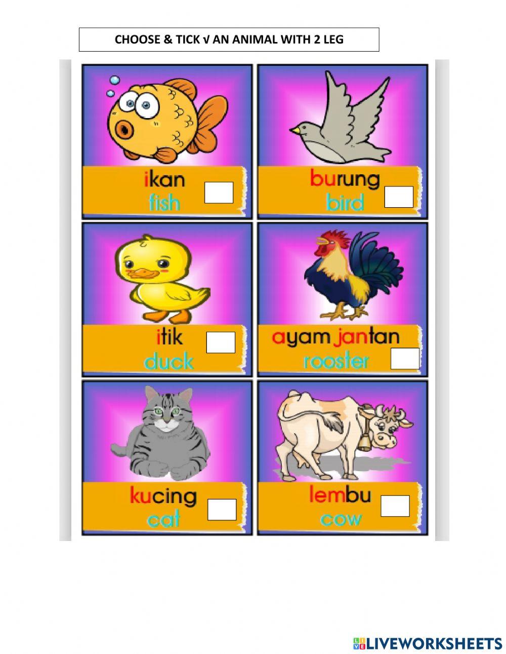 Tame animal worksheet | Live Worksheets