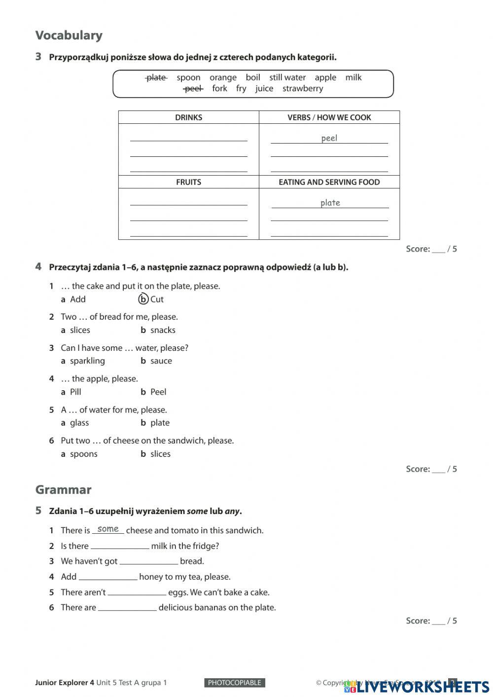 junior explorer… | Free Interactive Worksheets | 4736063