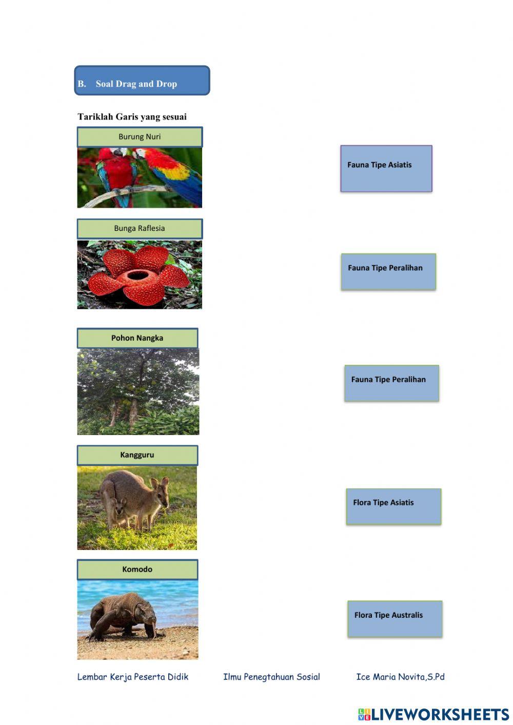 Keragaman Flora dan Fauna worksheet | Live Worksheets