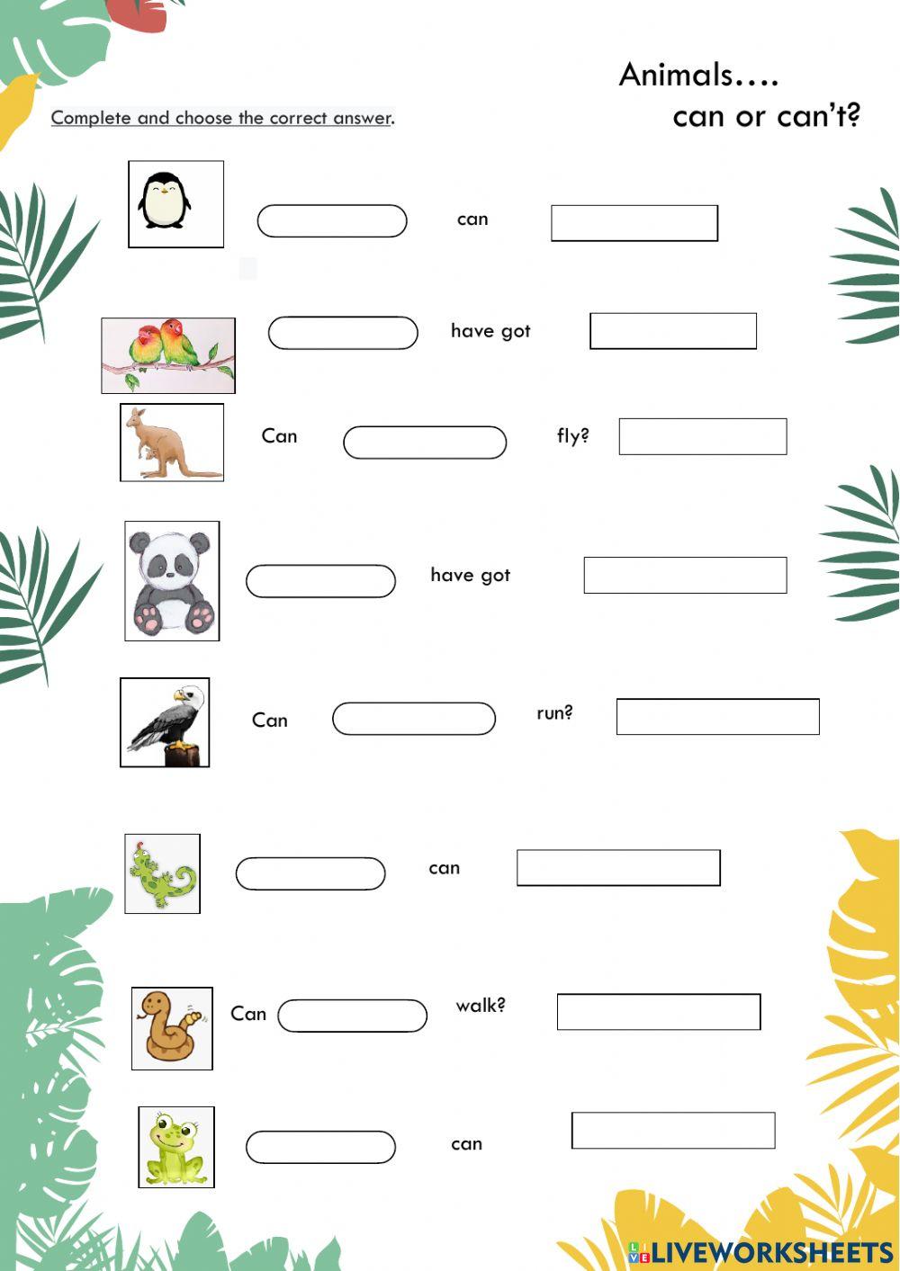 Animals... can or can't worksheet | Live Worksheets