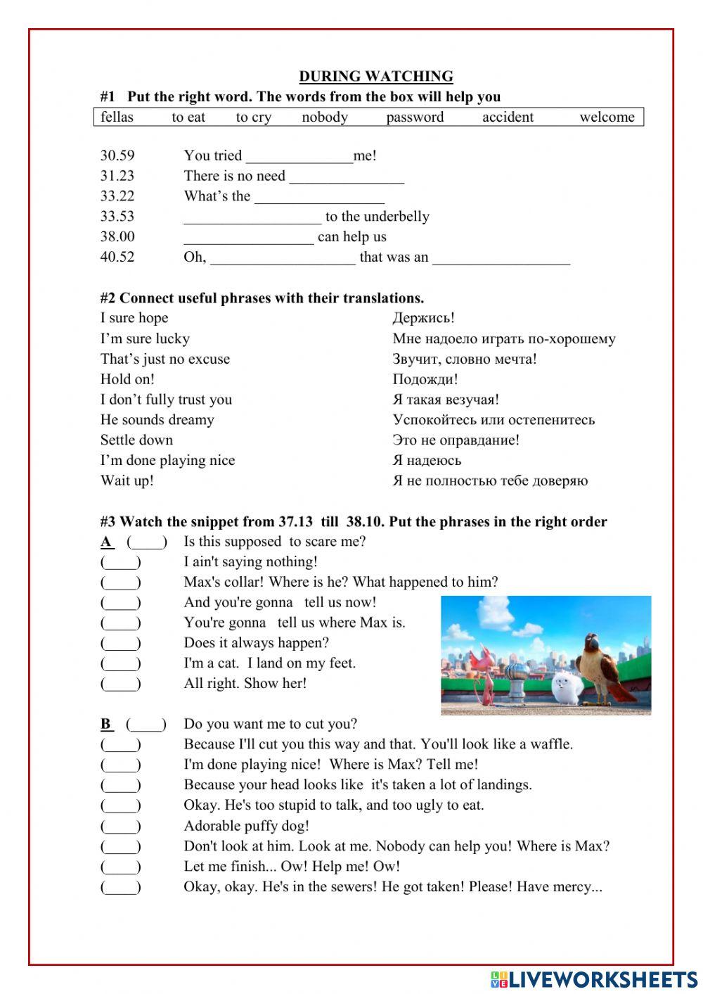 Тайная жизнь домашних питомцев Interactive Worksheet Live Worksheets
