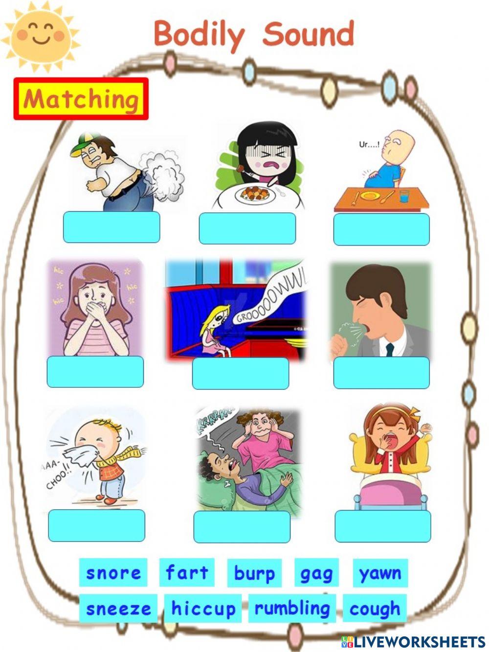 Bodily Sound 723850 | suwan0922 | LiveWorksheets