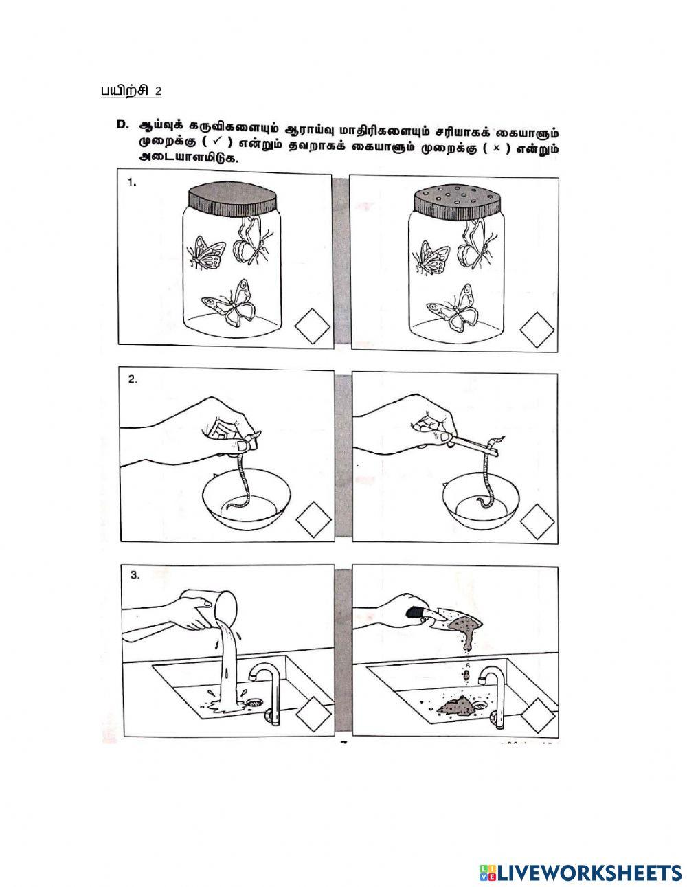 அறிவியல் கைவினைத் திறன் ஆக்கம் மு.சாந்தினி worksheet | Live Worksheets