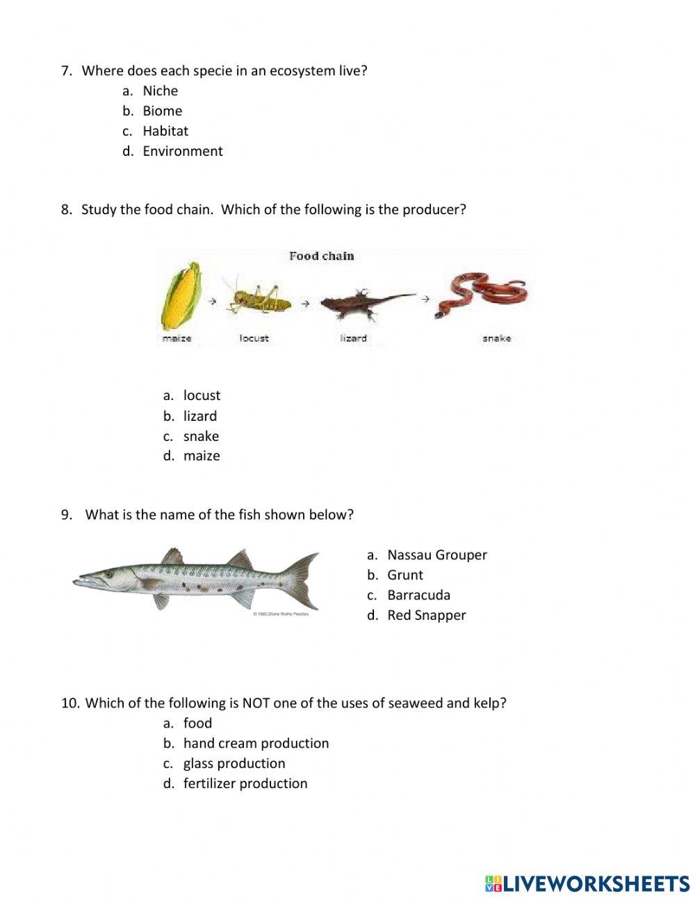 Science Midterm Review 727277 SPSGrade5 Live science-midterm-review-727277-spsgrade5-live