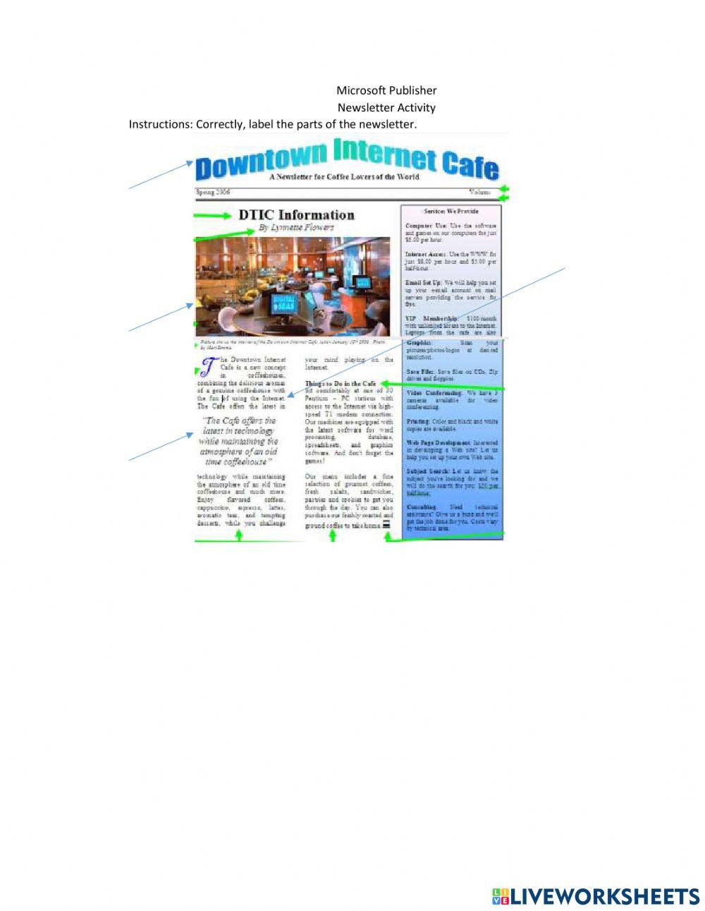 Parts of a Newsletter Activity 4745000 | Shavado Gibson