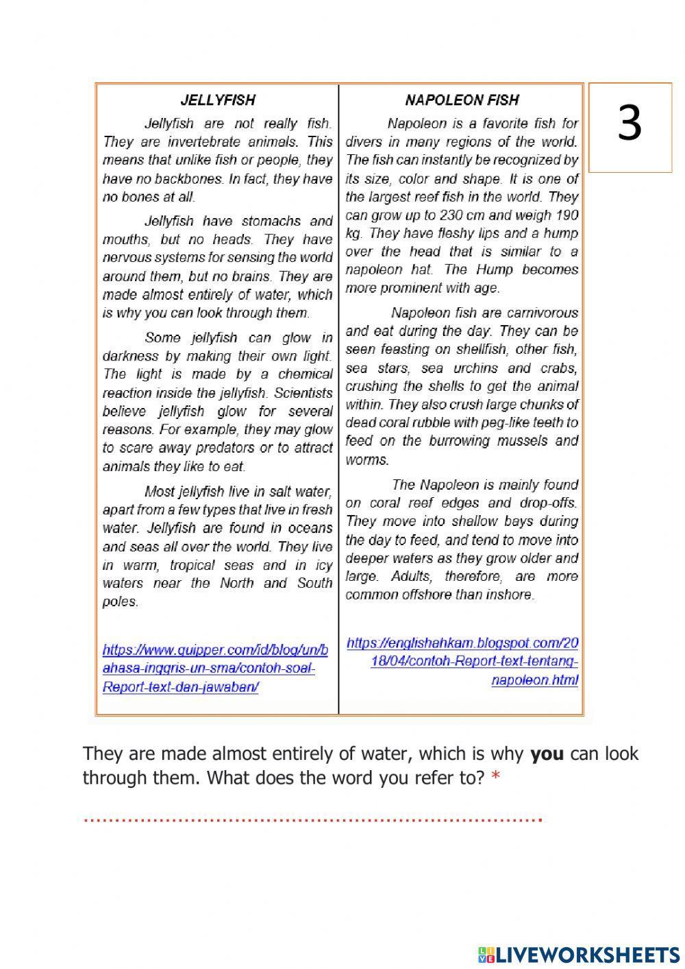 Report Text Test interactive worksheet | Live Worksheets