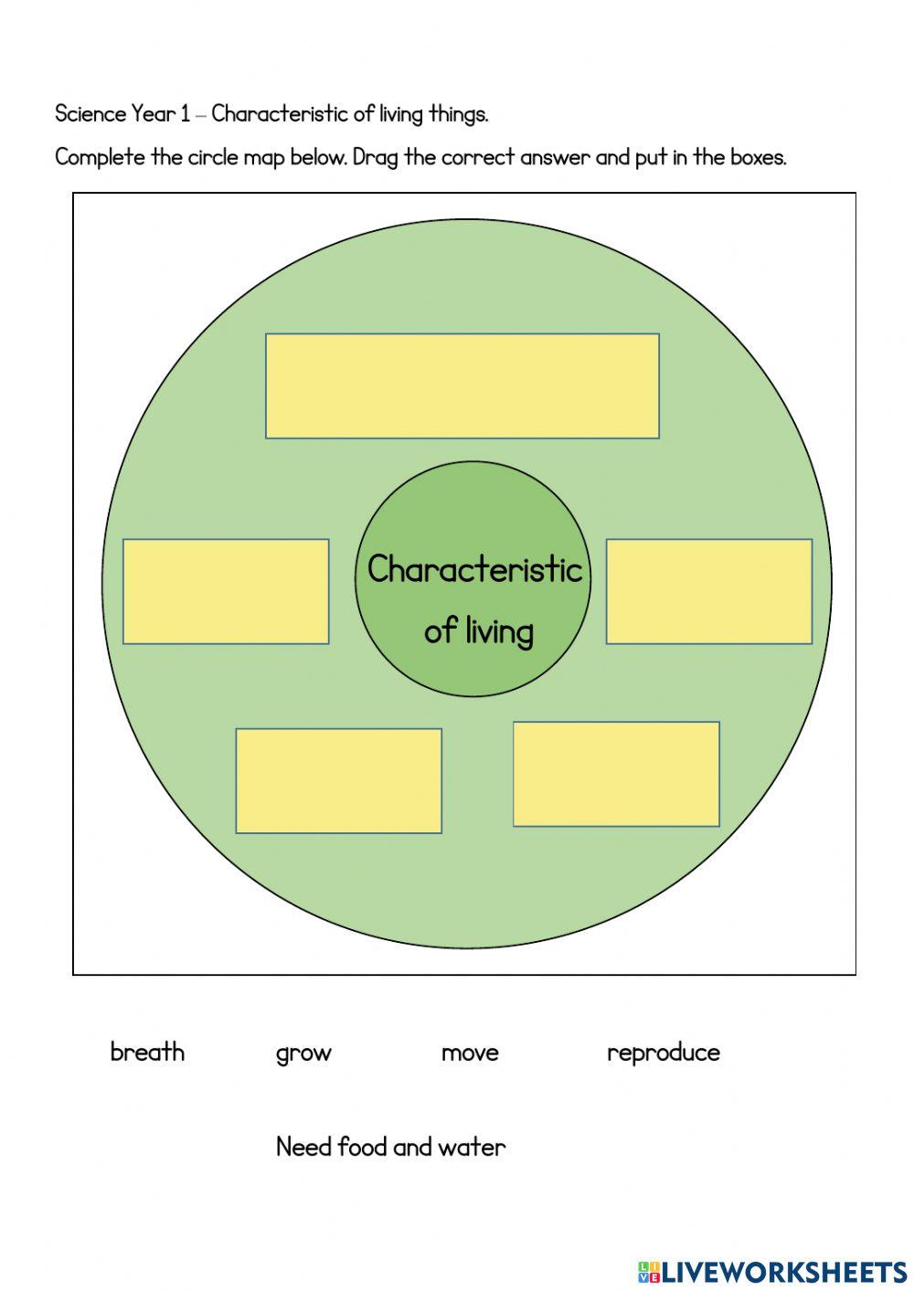 Plc 1 worksheet | Live Worksheets