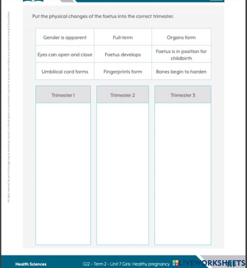 trimester of pregnancy. online exercise for | Live Worksheets