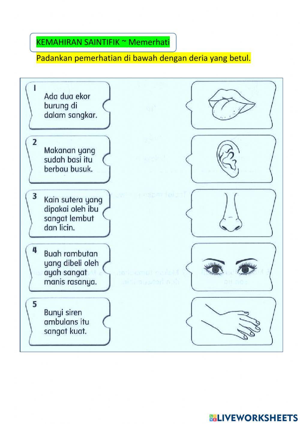 Kemahiran Memerhati activity | Live Worksheets