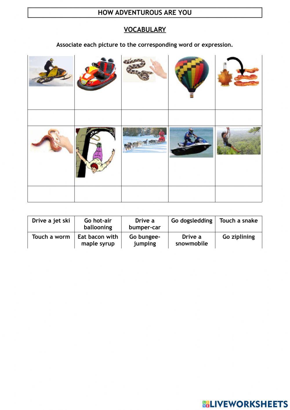 Vocabulary how adventurous are you worksheet | Live Worksheets