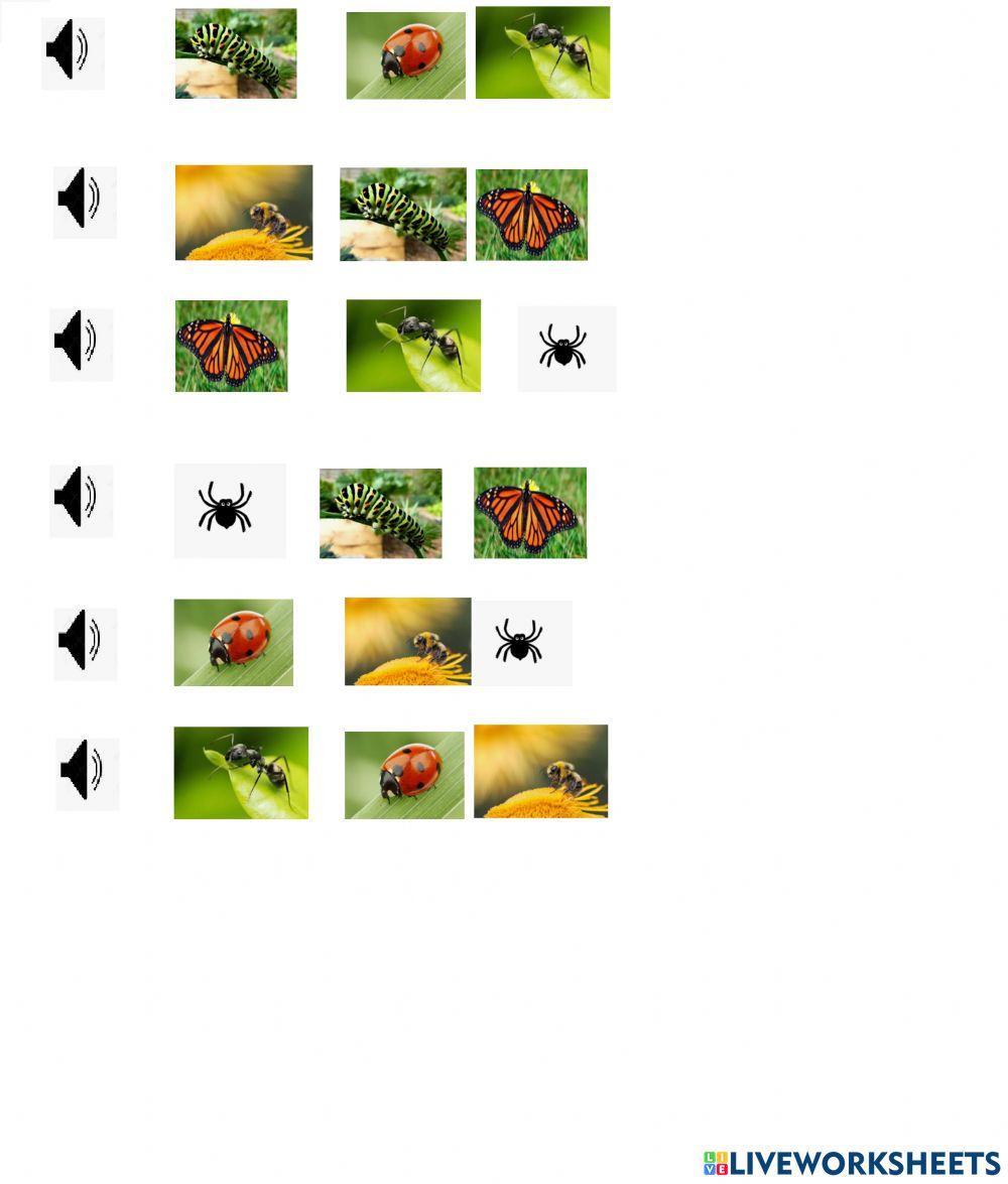 Minibeast 2 worksheet | Live Worksheets