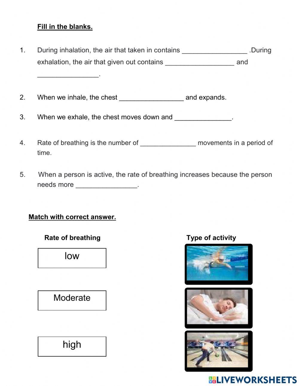 HUMAN BREATHING PROCESS YEAR 4 online exercise for | Live Worksheets