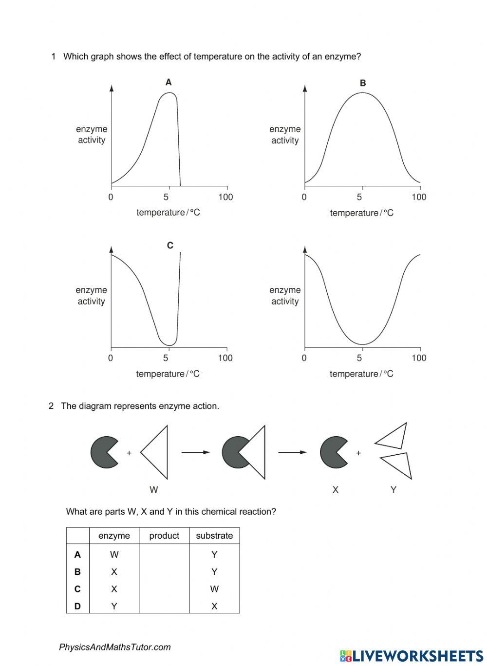 Enzymes worksheet 1 1601 | Sheenaz Ali | Live