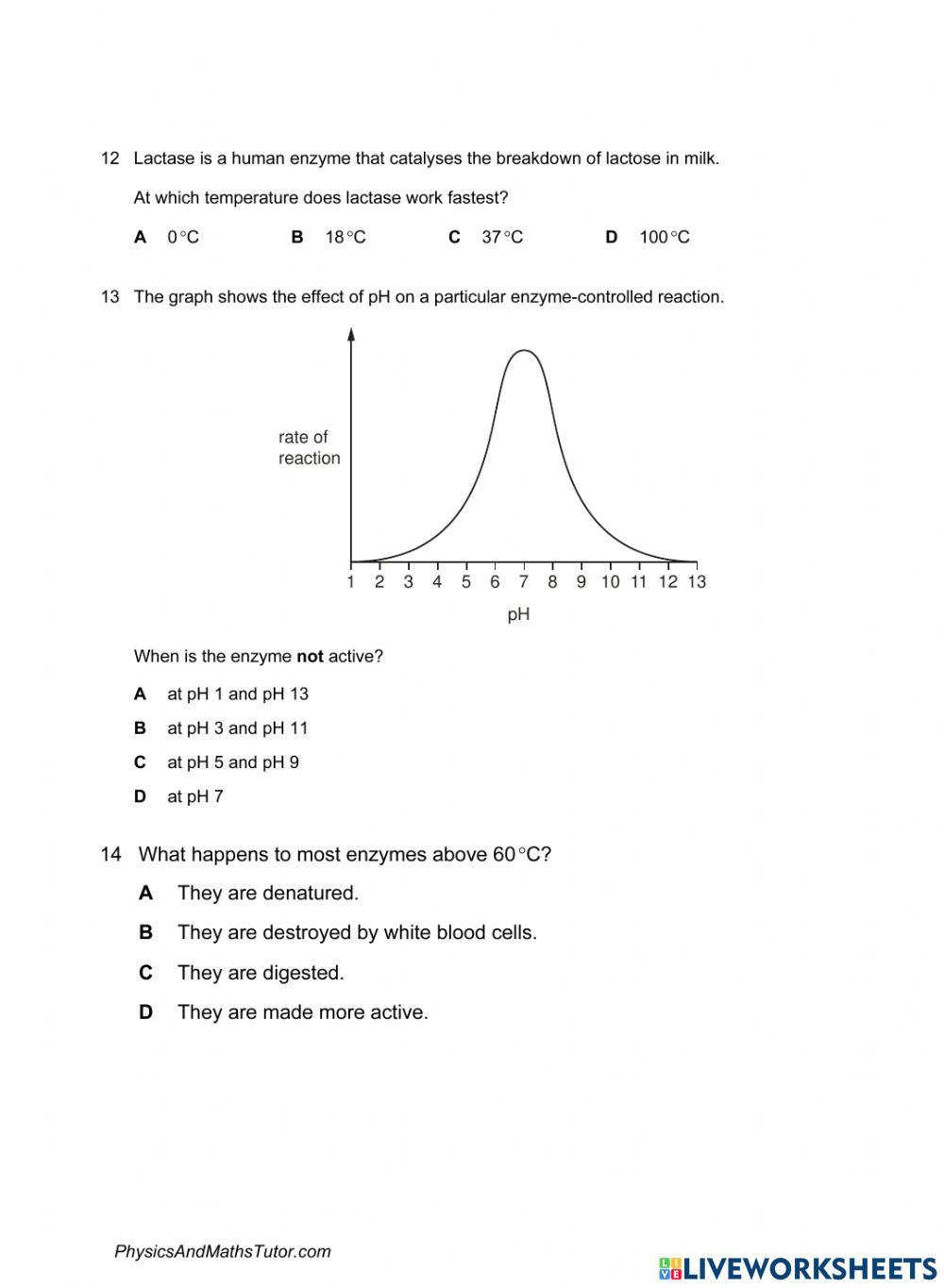 Enzymes worksheet 1 1601 | Sheenaz Ali | Live
