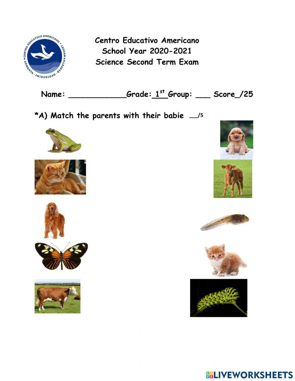 Science online exercise for first | Live Worksheets