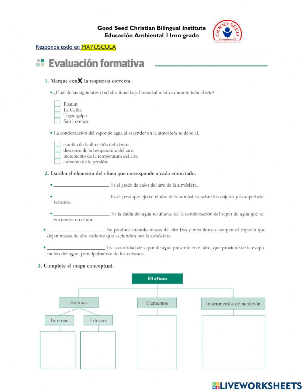 Evaluación formativa p. 18-19 worksheet | Live Worksheets