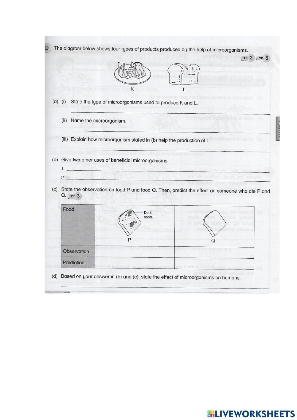 HARMFUL EFFECT AND USEFUL MICROORGANISMS online exercise for | Live ...