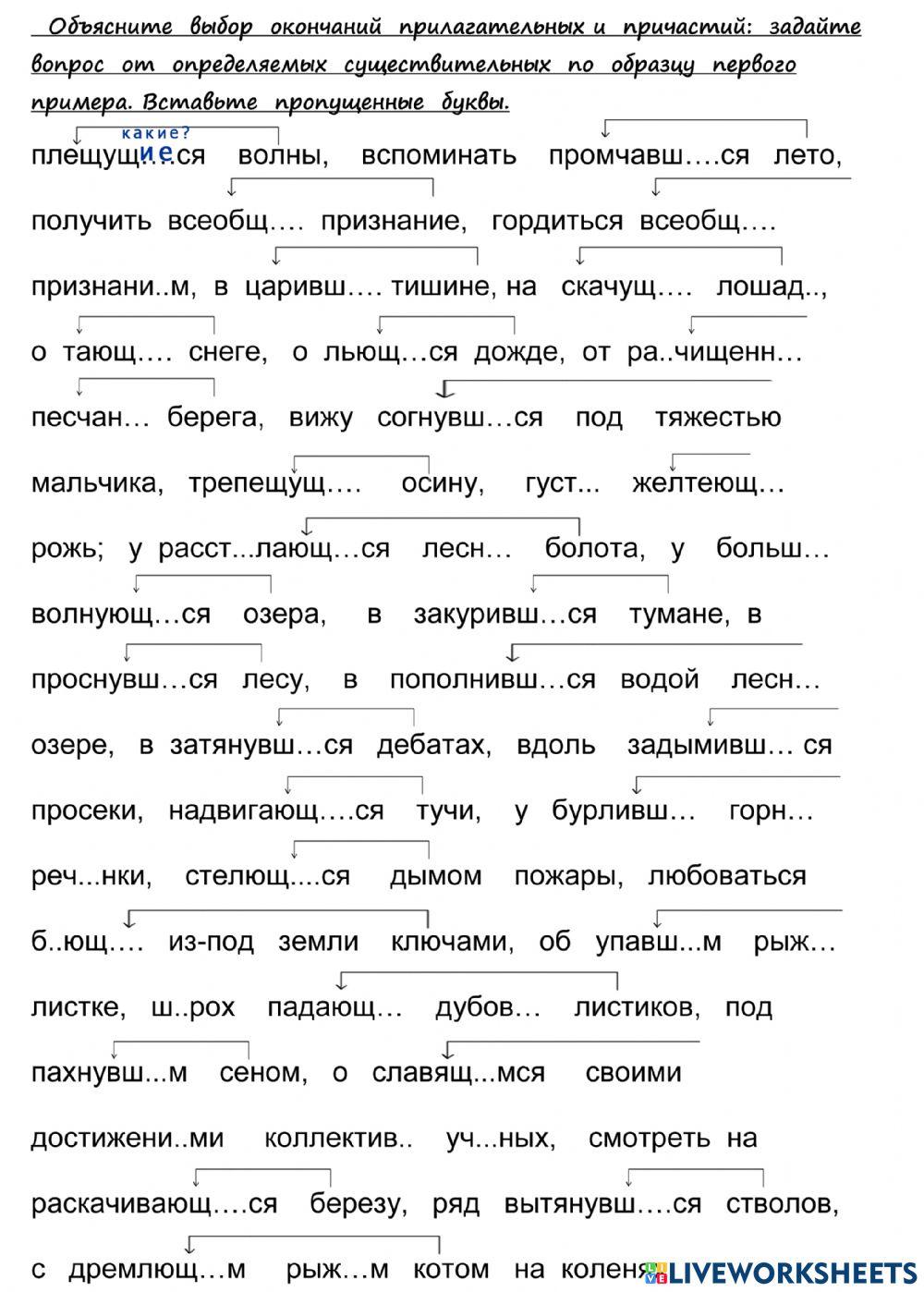 Падежные окончания прилагательных и причастий Worksheet Live Worksheets