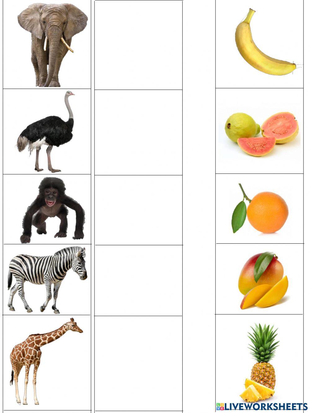 La Sorpresa de Nandi - Relación worksheet | Live Worksheets