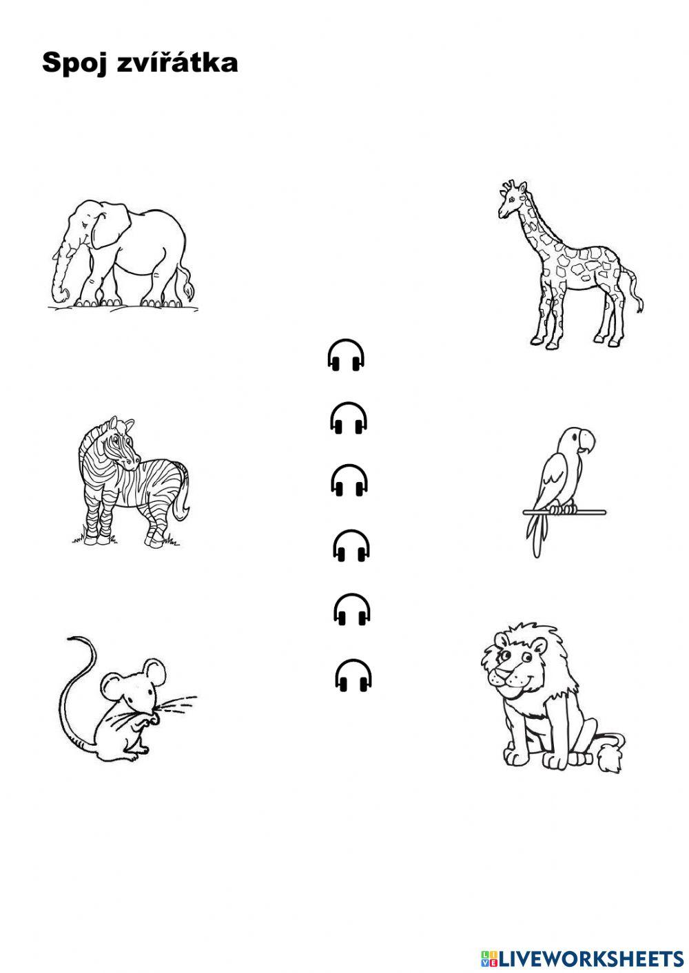 ZOO animals online pdf worksheet | Live Worksheets