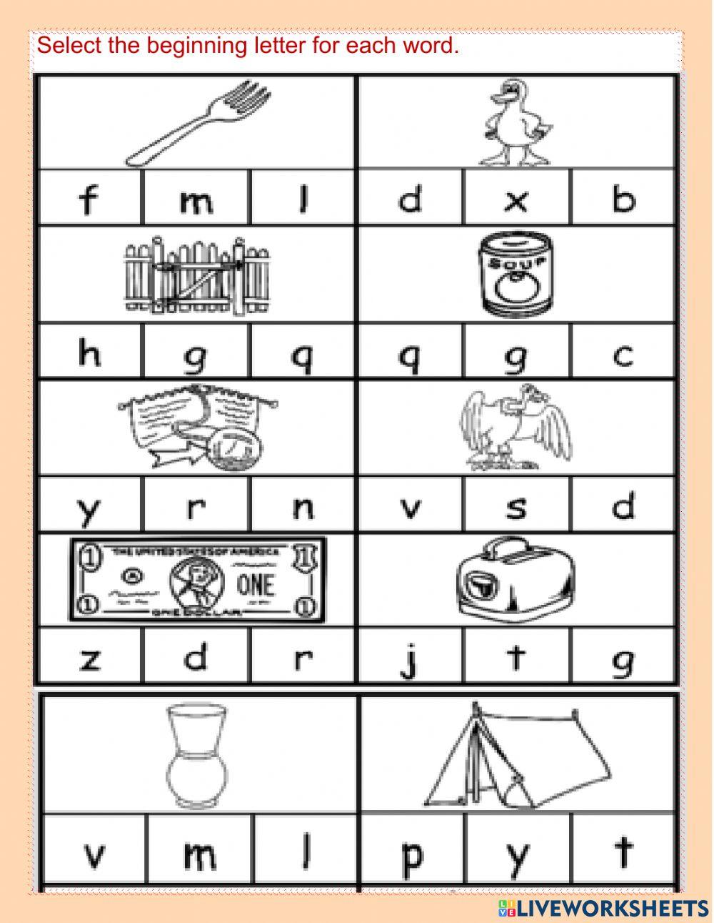 TERM 2 MID TERM… | Free Interactive Worksheets | 6431779
