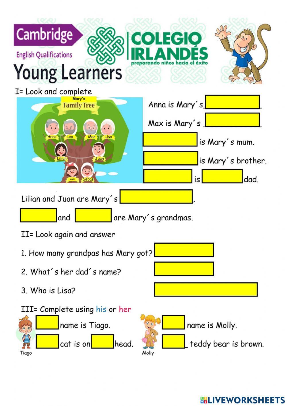 Starters Test February worksheet | Live Worksheets