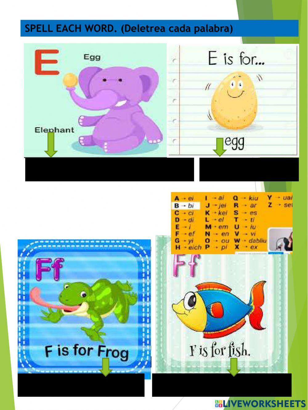 Alphabet and spelling activity | Live Worksheets