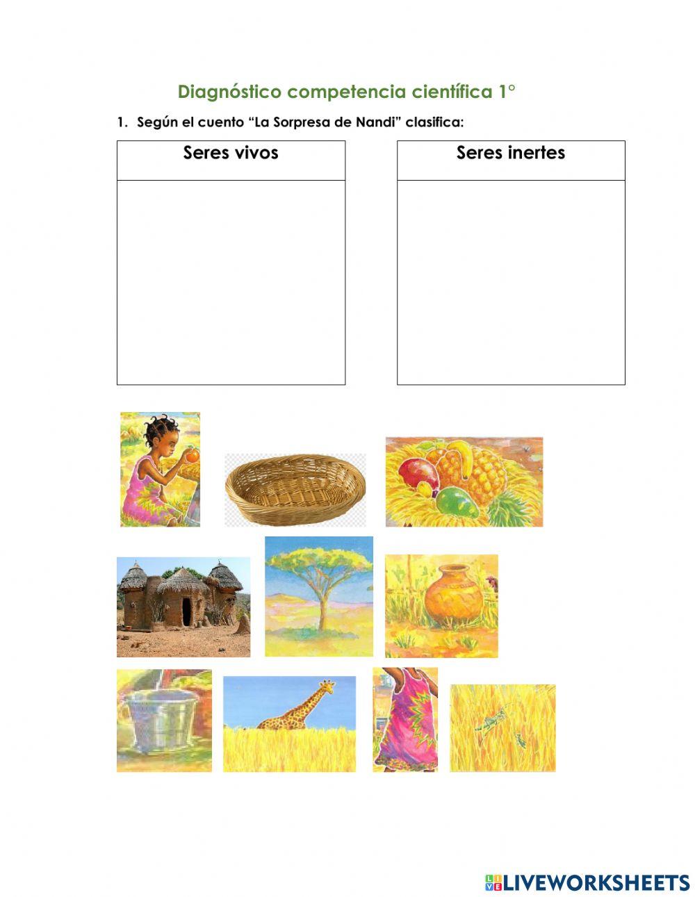 Seres vivos e inertes activity for 1 | Live Worksheets