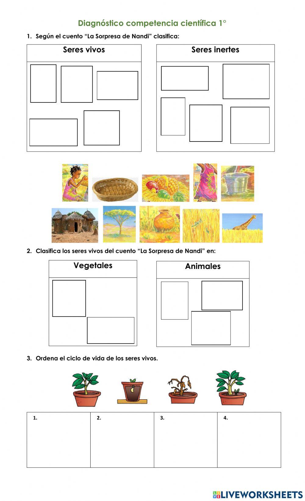 Seres vivos e inertes online activity for 1 | Live Worksheets