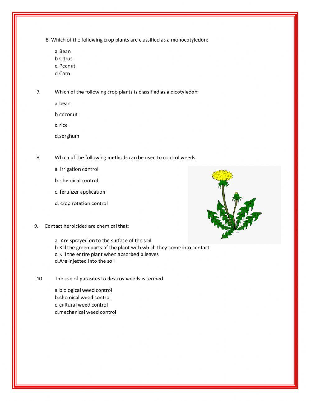 Crop protection | Free Interactive Worksheets | 739080