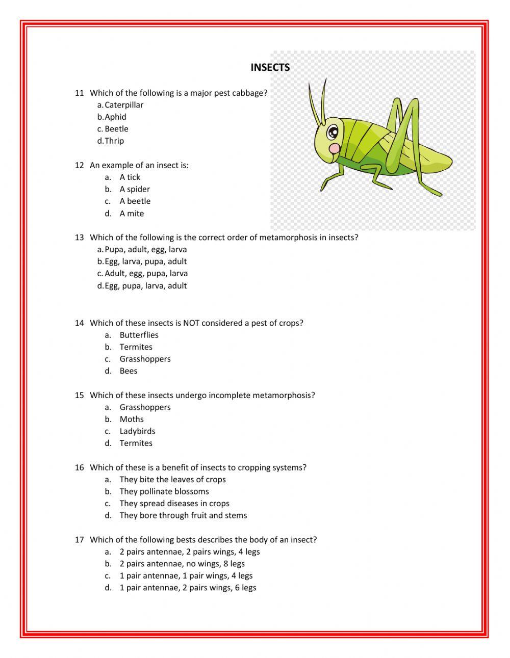Crop protection | Free Interactive Worksheets | 739080