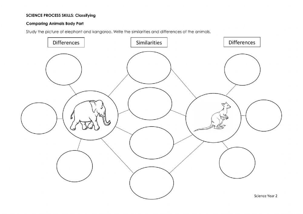 Science Year 2 : Classifying worksheet | Live Worksheets