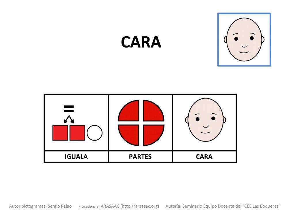 Material Teacch partes de la cara worksheet | Live Worksheets
