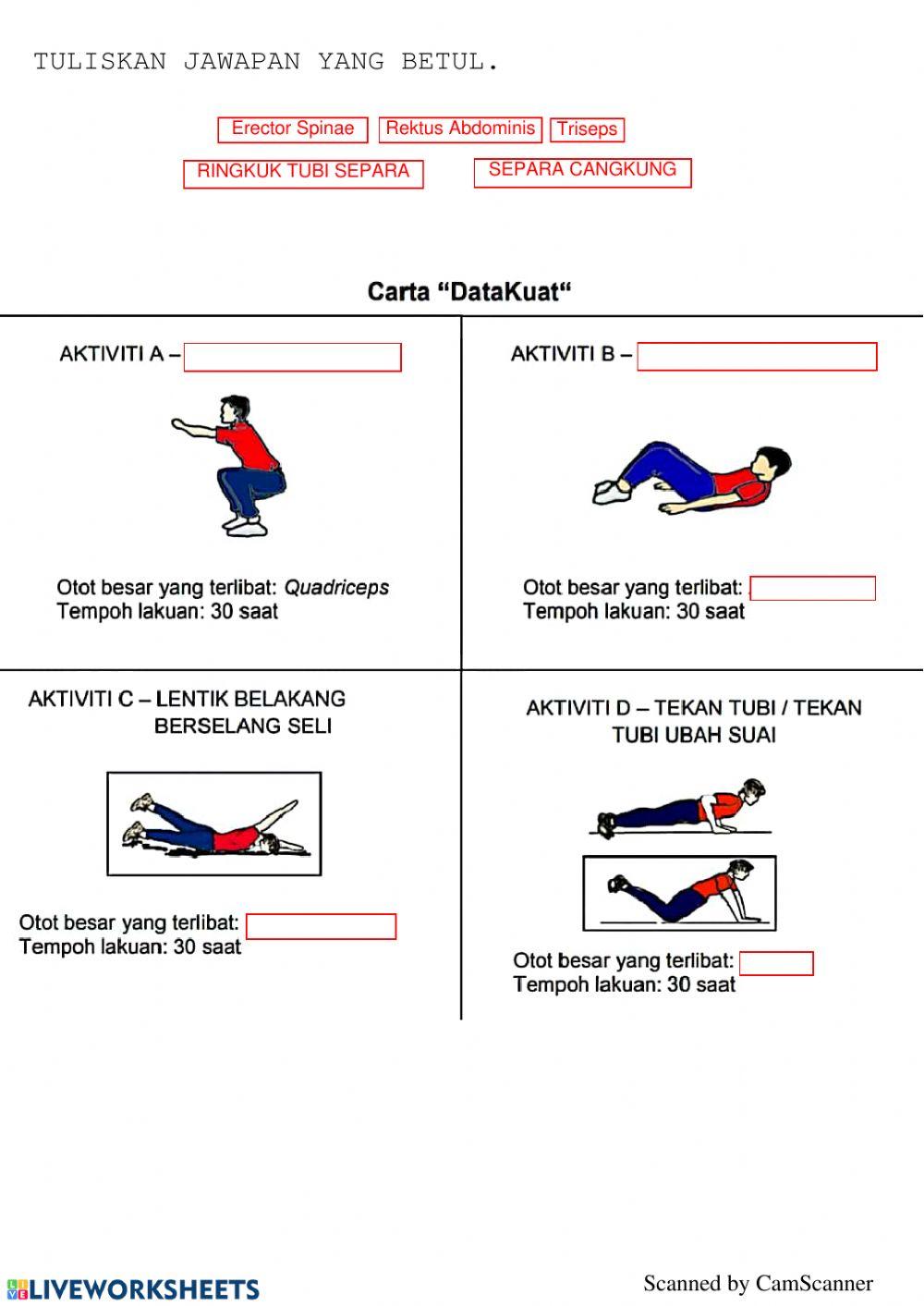 PENDIDIKAN JASM… | Free Interactive Worksheets | 4682960