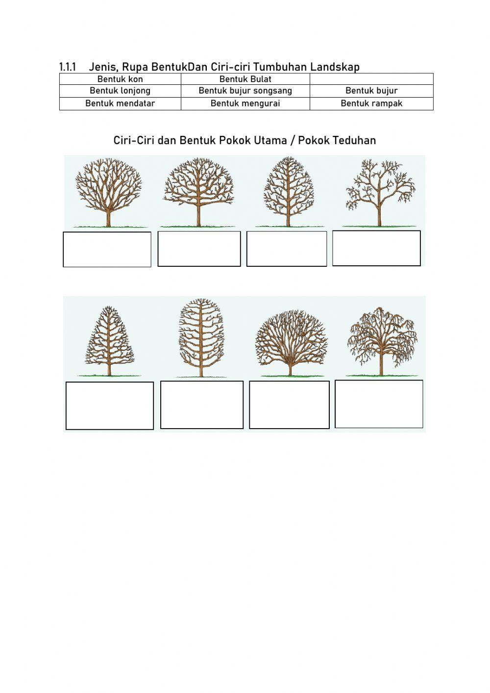 Tugasan Landskap worksheet for t4 | Live Worksheets