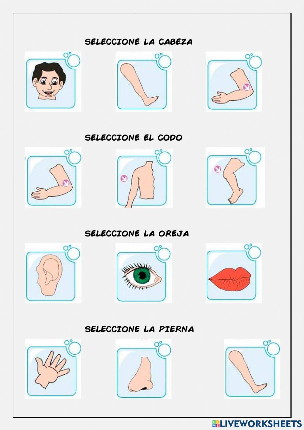 Evaluación esquema corporal worksheet | Live Worksheets