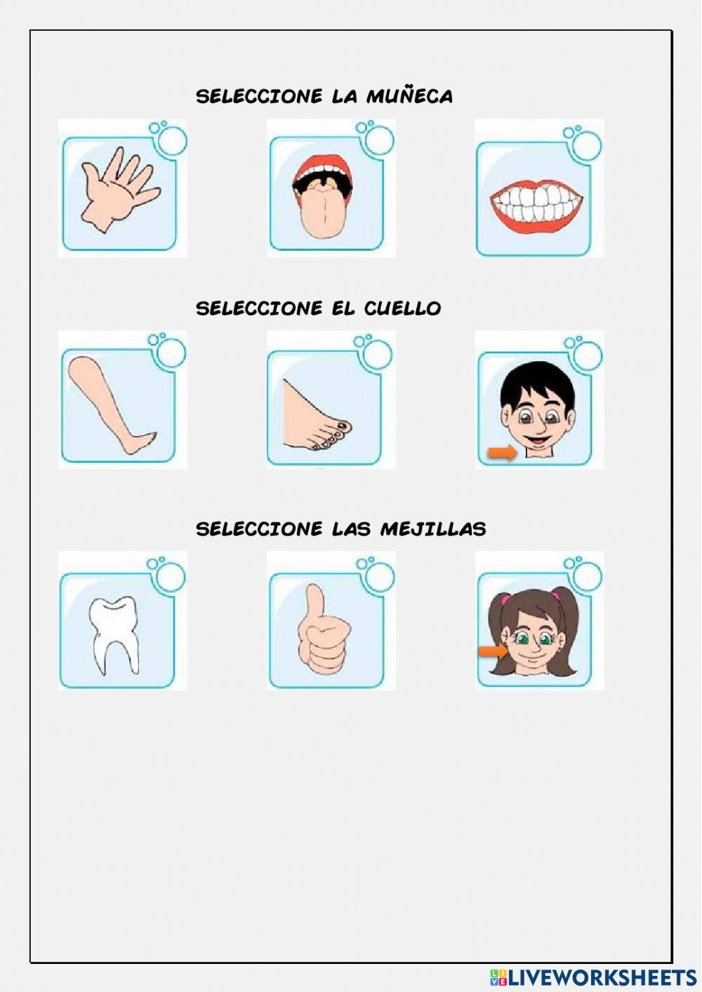 Evaluación esquema corporal worksheet | Live Worksheets