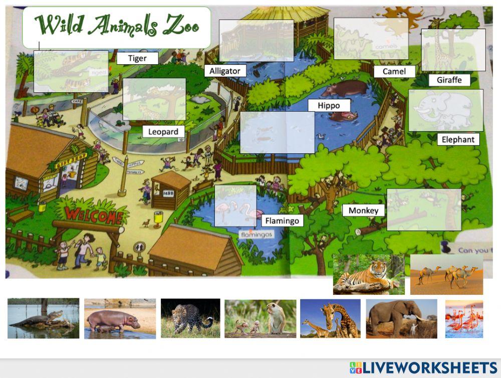 Wild Animals Zoo worksheet | Live Worksheets