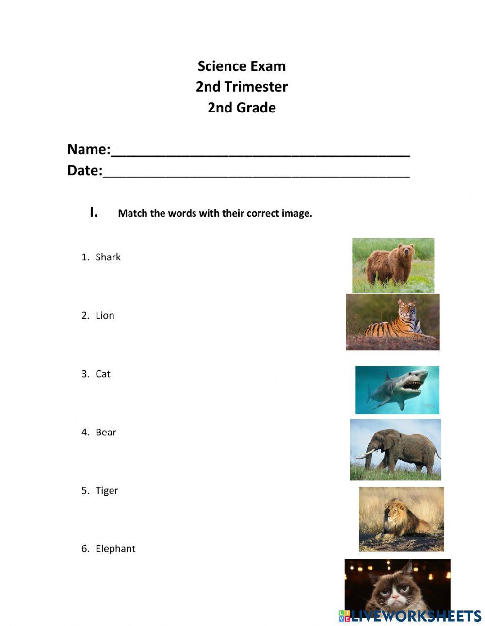 Science Exam 2nd Trimester 2nd Grade worksheet | Live Worksheets