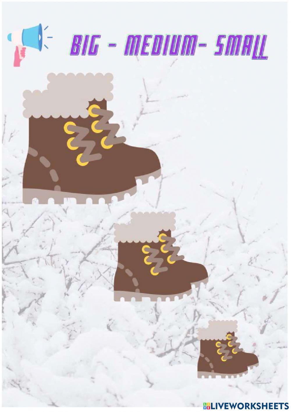 Big - medium - … | Free Interactive Worksheets | 741945