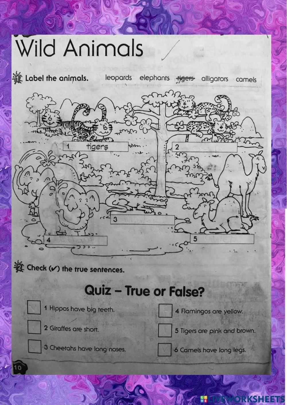 Wild Animals - Review worksheet | Live Worksheets