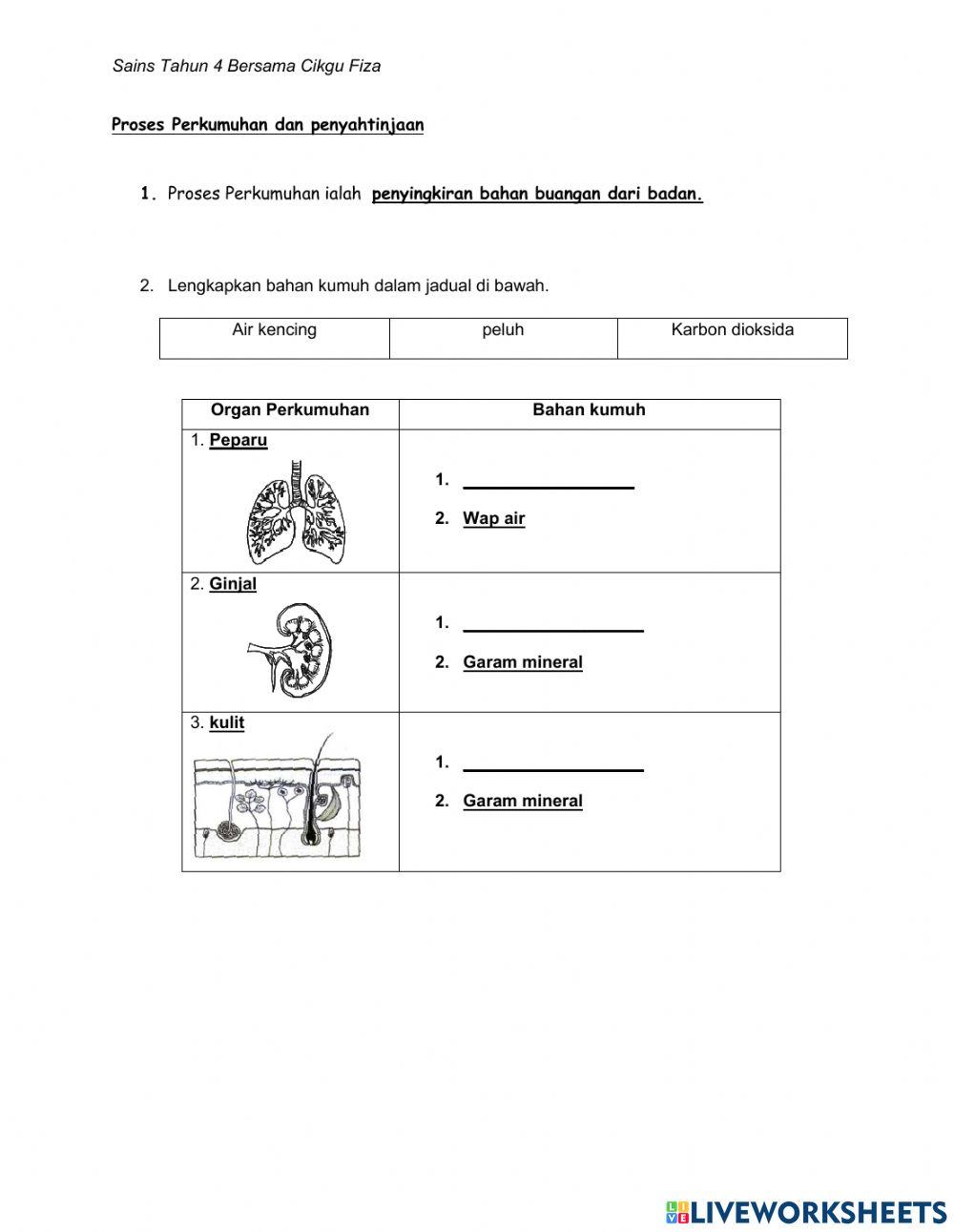 Perkumuhan Manusia interactive worksheet | Live Worksheets